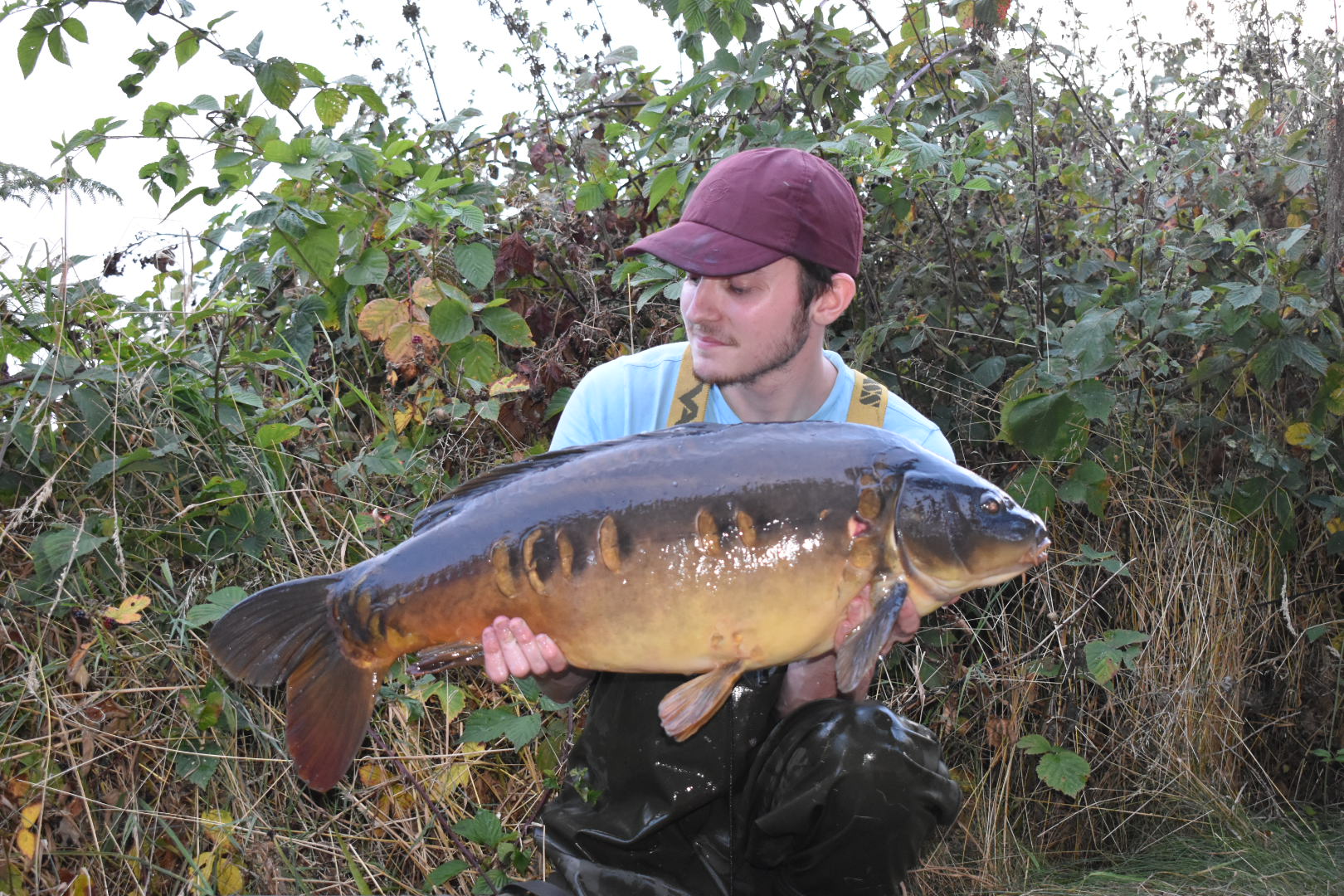 Day ticket | Total Carp